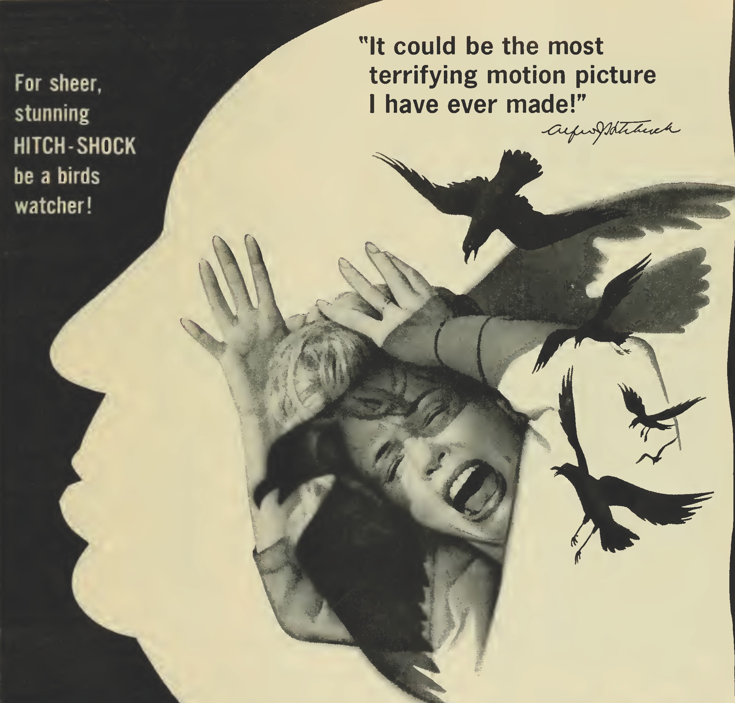 Behind the Scenes: “The Birds” (1963) – The Magnificent 60s