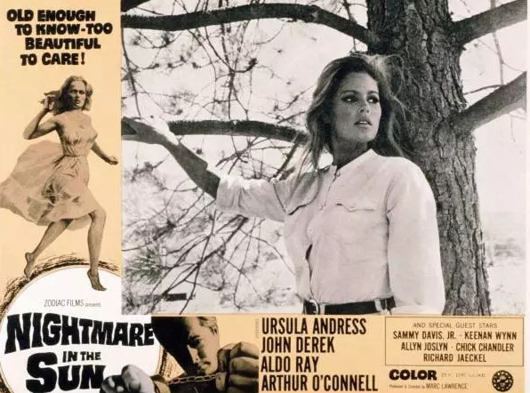 Nightmare in the Sun (1965) *** – The Magnificent 60s