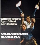 Behind the Scenes: “Wild Rovers” (1971) – The Magnificent 60s